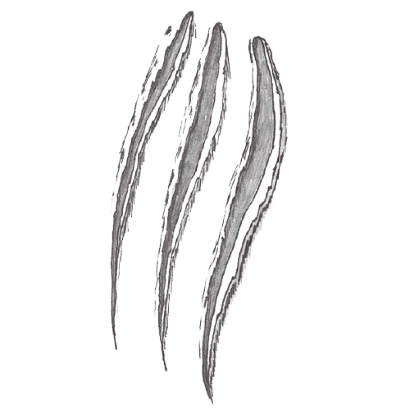 Claw Scratch PNG Image - PurePNG | Free transparent CC0 PNG Image Library