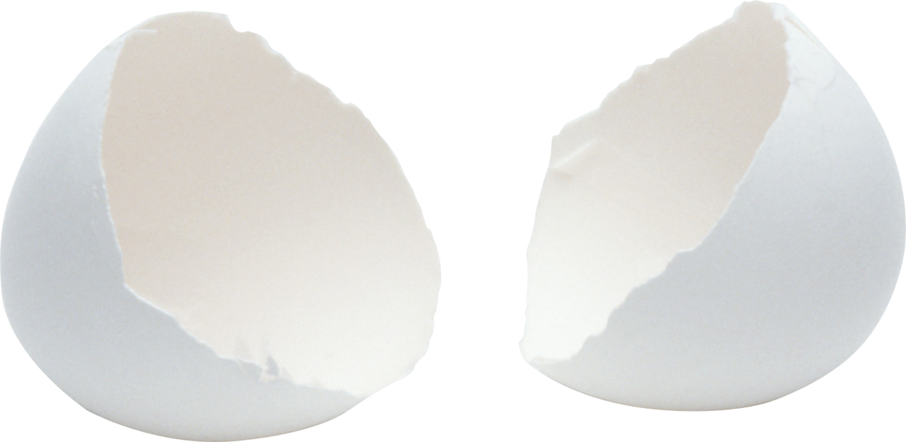 Egg Shell PNG Image - PurePNG | Free transparent CC0 PNG Image Library