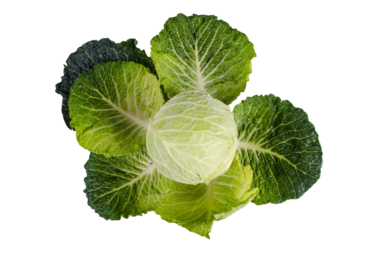 Kale PNG Image - PurePNG | Free transparent CC0 PNG Image Library