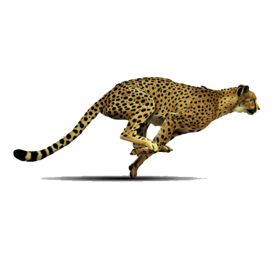 Leaping Leopard PNG Image - PurePNG | Free transparent CC0 PNG Image ...