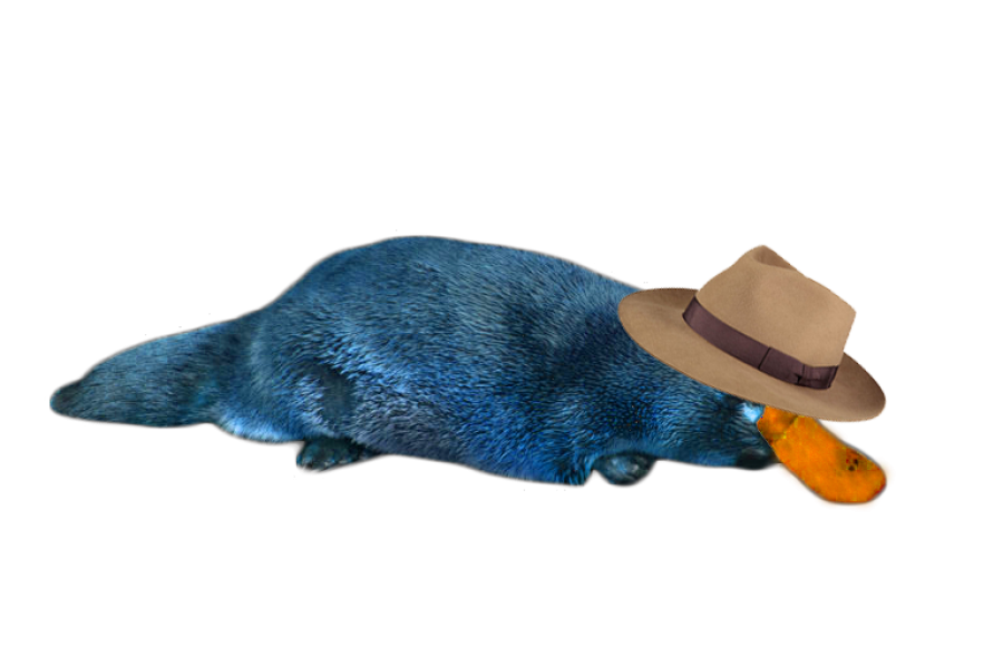 Perry The Platypus Real Hot Sex Picture