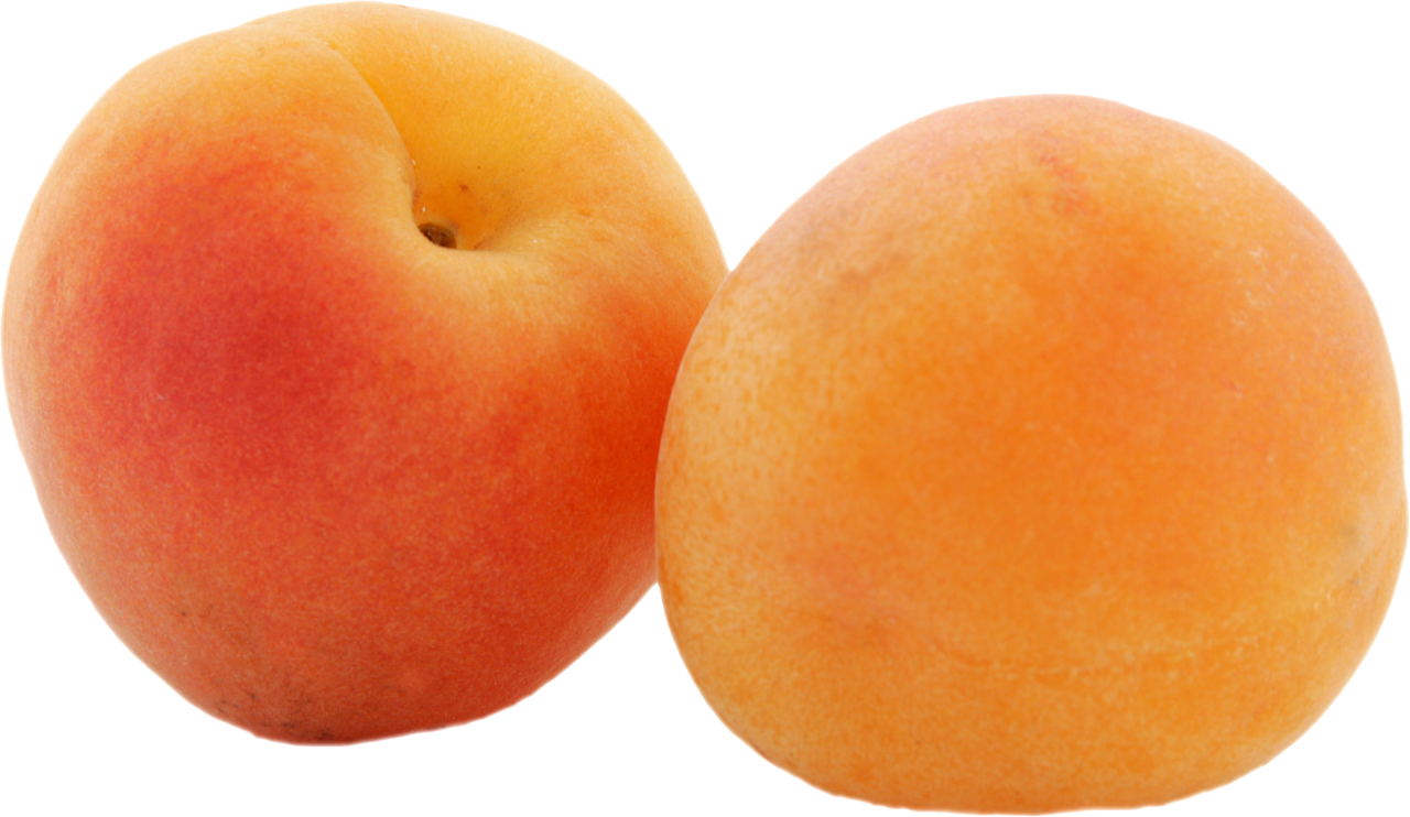 Apricot PNG Image - PurePNG | Free transparent CC0 PNG Image Library