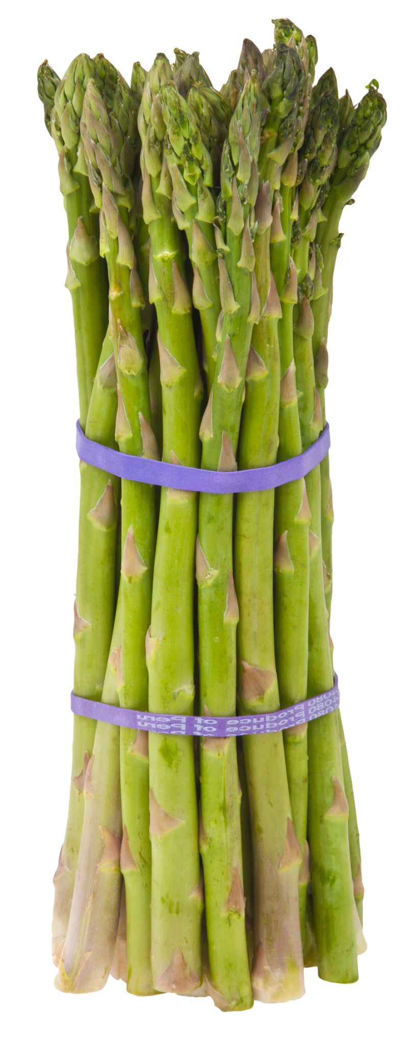 Asparagus PNG Image - PurePNG | Free transparent CC0 PNG Image Library
