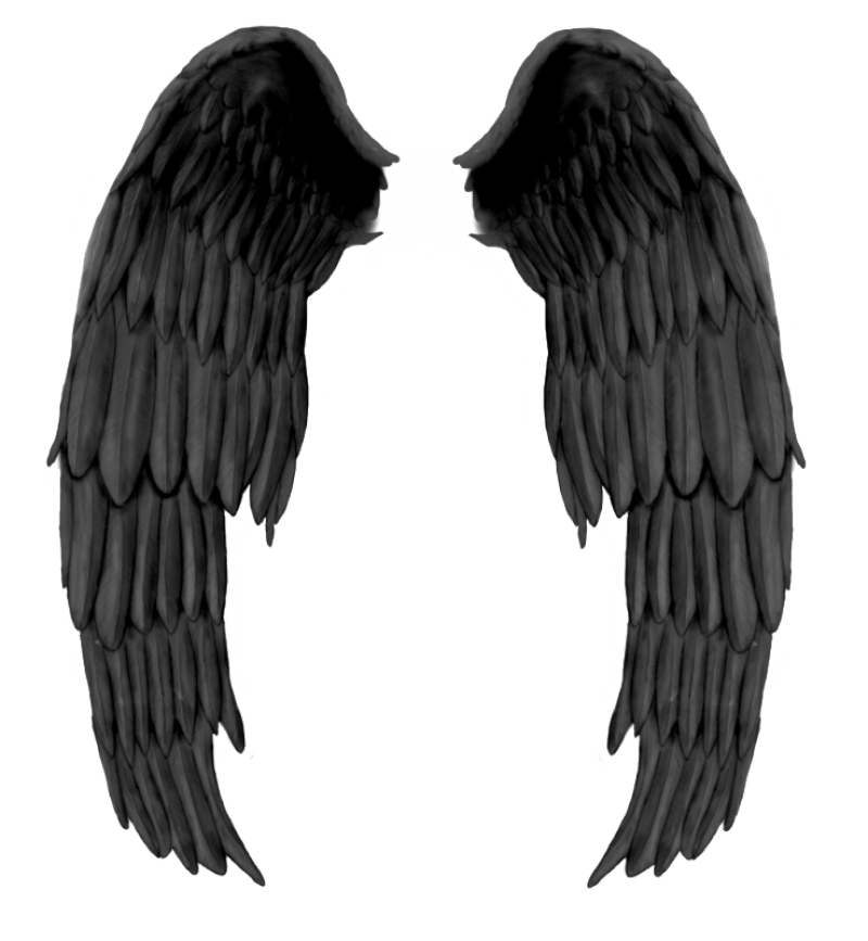 Black Wings PNG Image - PurePNG | Free transparent CC0 PNG Image Library