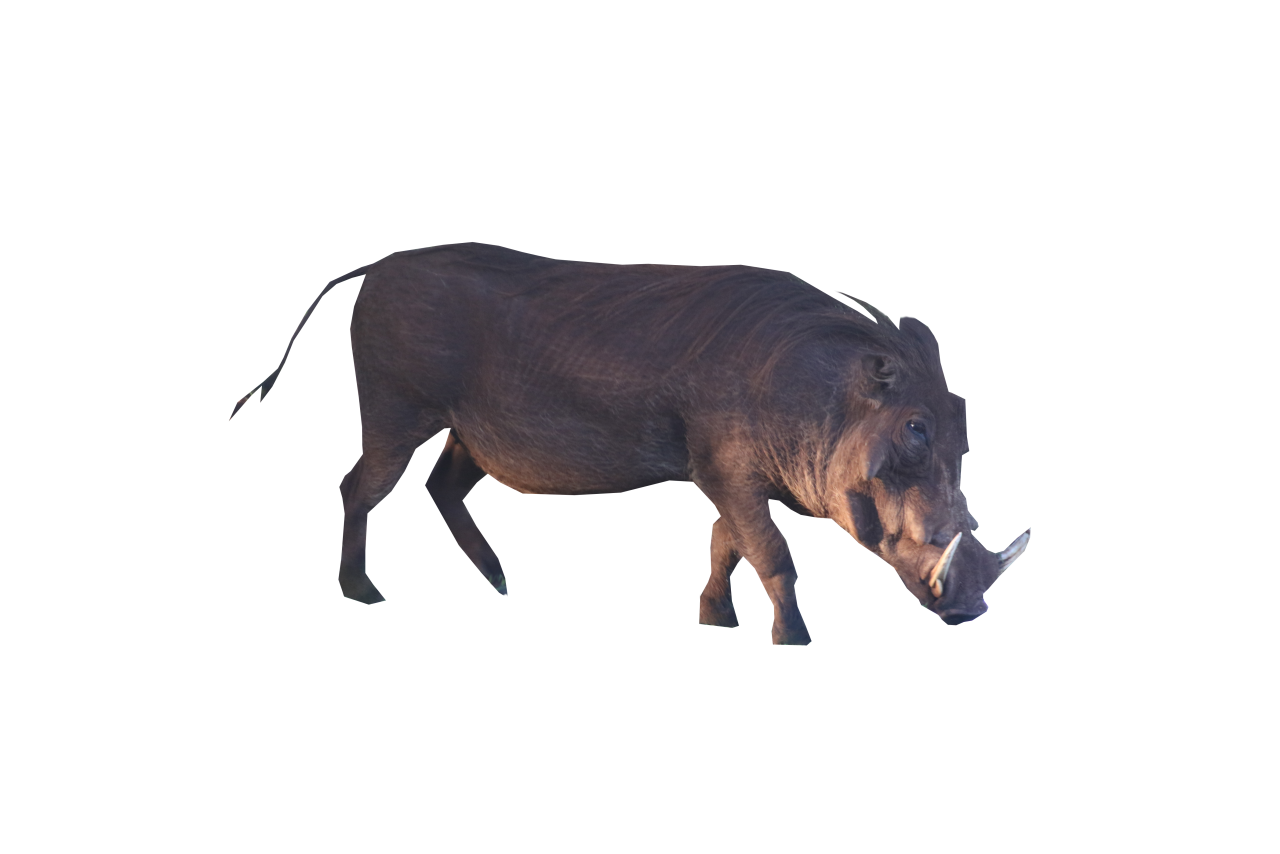 Brown Boar Standing PNG Image - PurePNG | Free transparent CC0 PNG ...