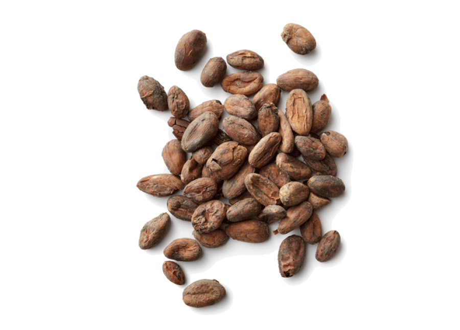 Cacao PNG Image - PurePNG | Free transparent CC0 PNG Image Library