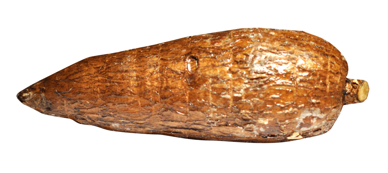 Cassava PNG Image - PurePNG | Free transparent CC0 PNG Image Library