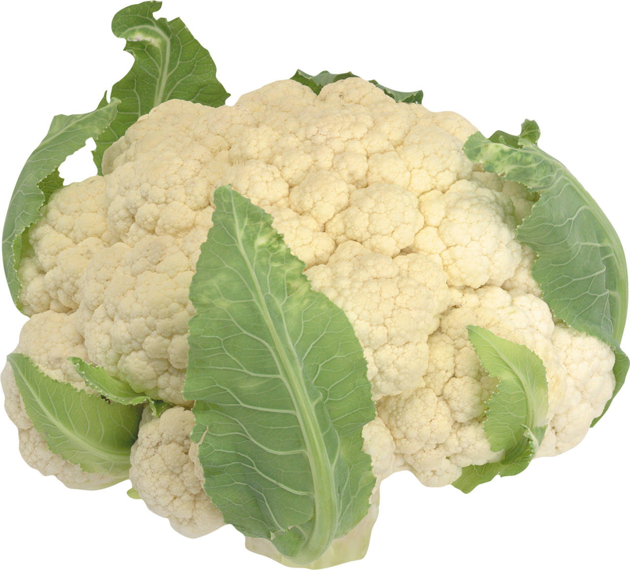 Cauliflower PNG Image - PurePNG | Free transparent CC0 PNG Image Library