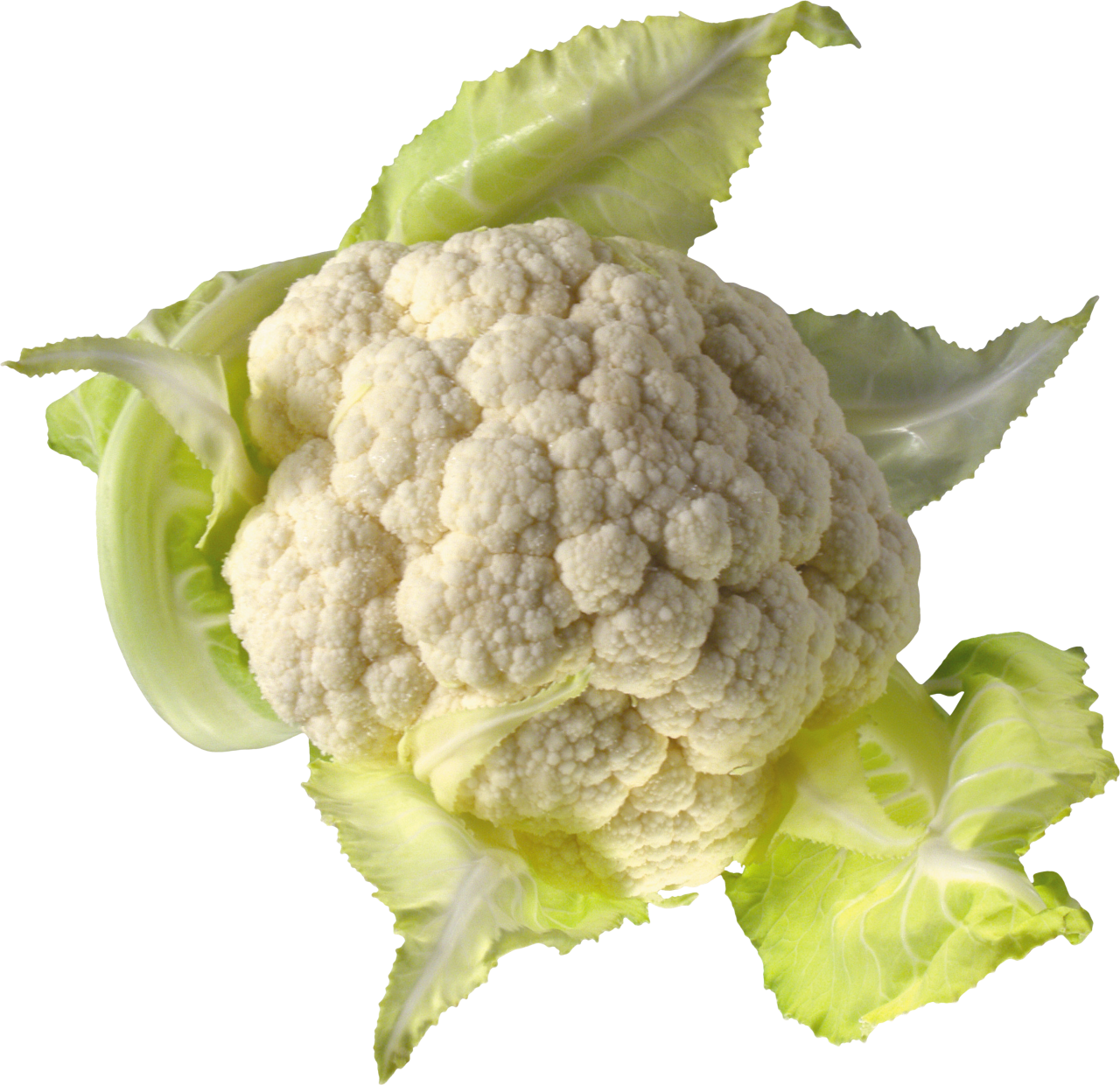 Cauliflower PNG Image - PurePNG | Free transparent CC0 PNG Image Library