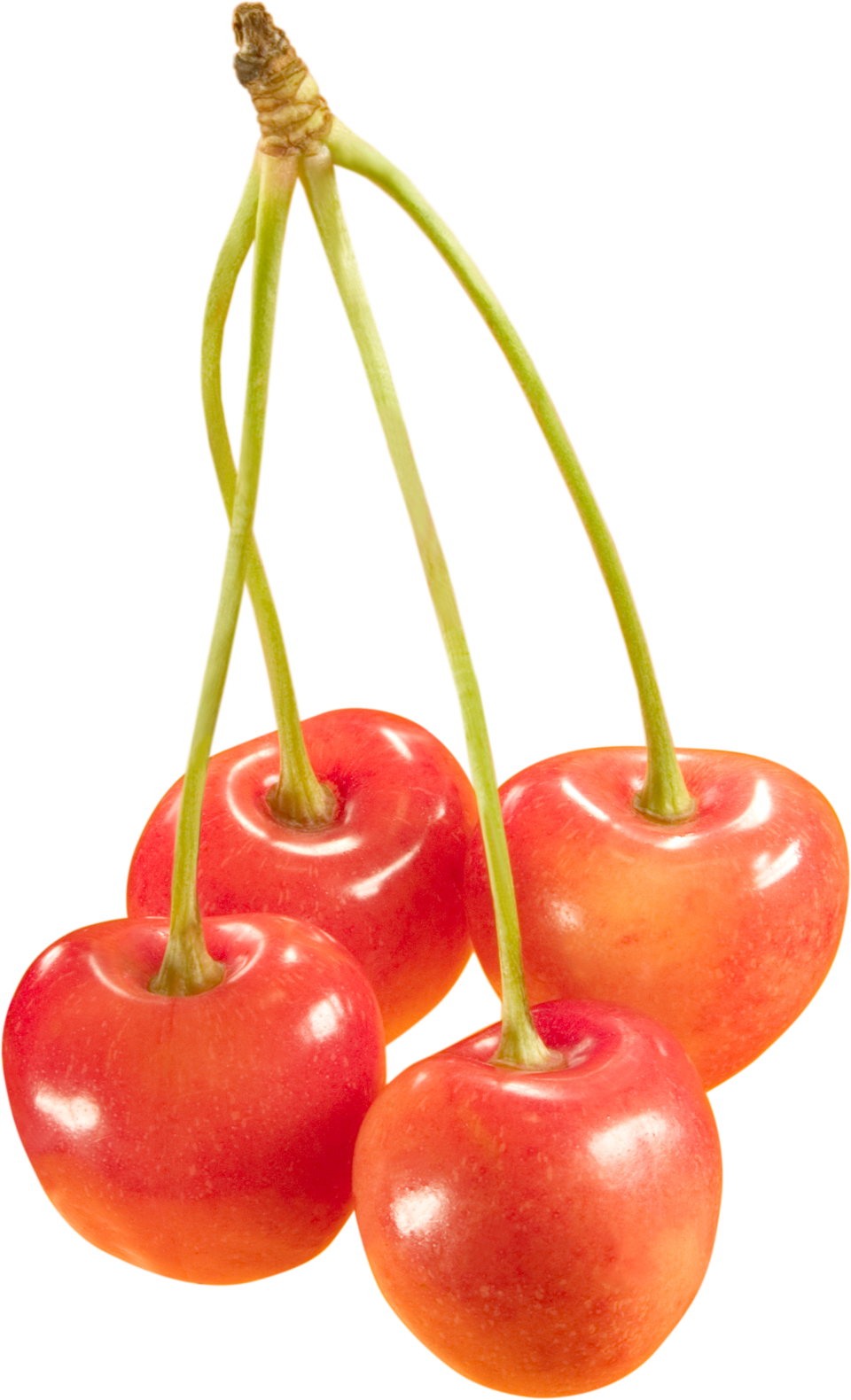 Cherries PNG Image - PurePNG | Free transparent CC0 PNG Image Library