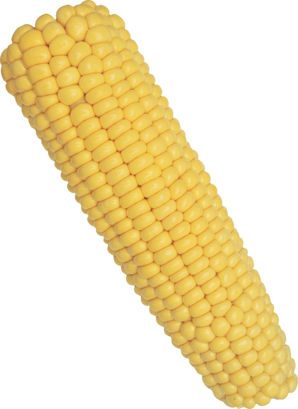 Corn PNG Image - PurePNG | Free transparent CC0 PNG Image Library