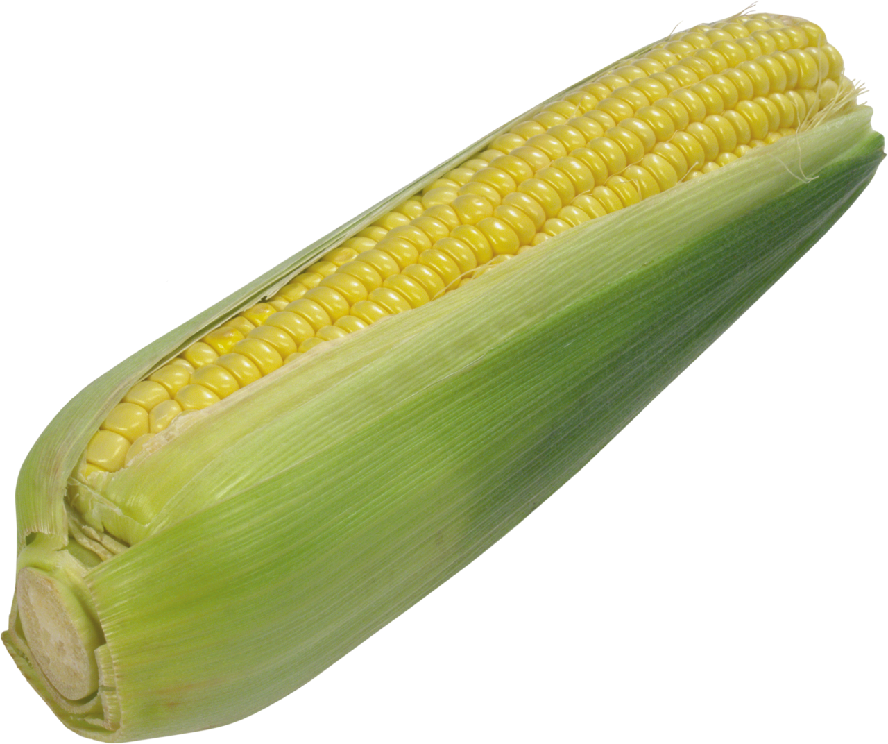 Corn PNG Image - PurePNG | Free transparent CC0 PNG Image Library