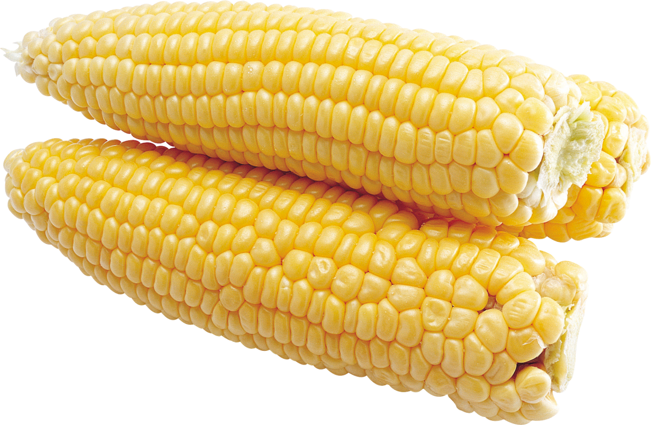 Corn PNG Image - PurePNG | Free transparent CC0 PNG Image Library