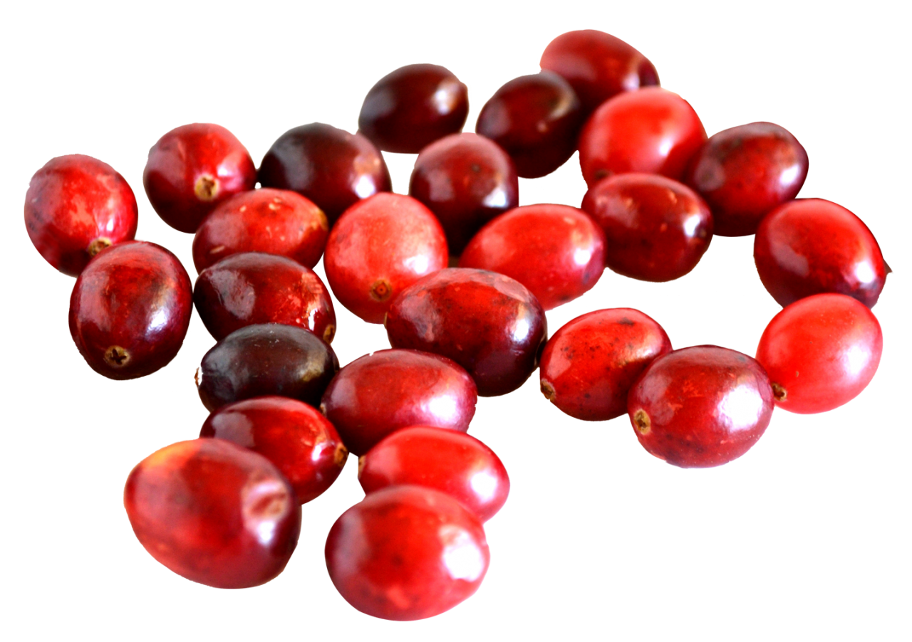 Cranberry PNG Image - PurePNG | Free transparent CC0 PNG Image Library