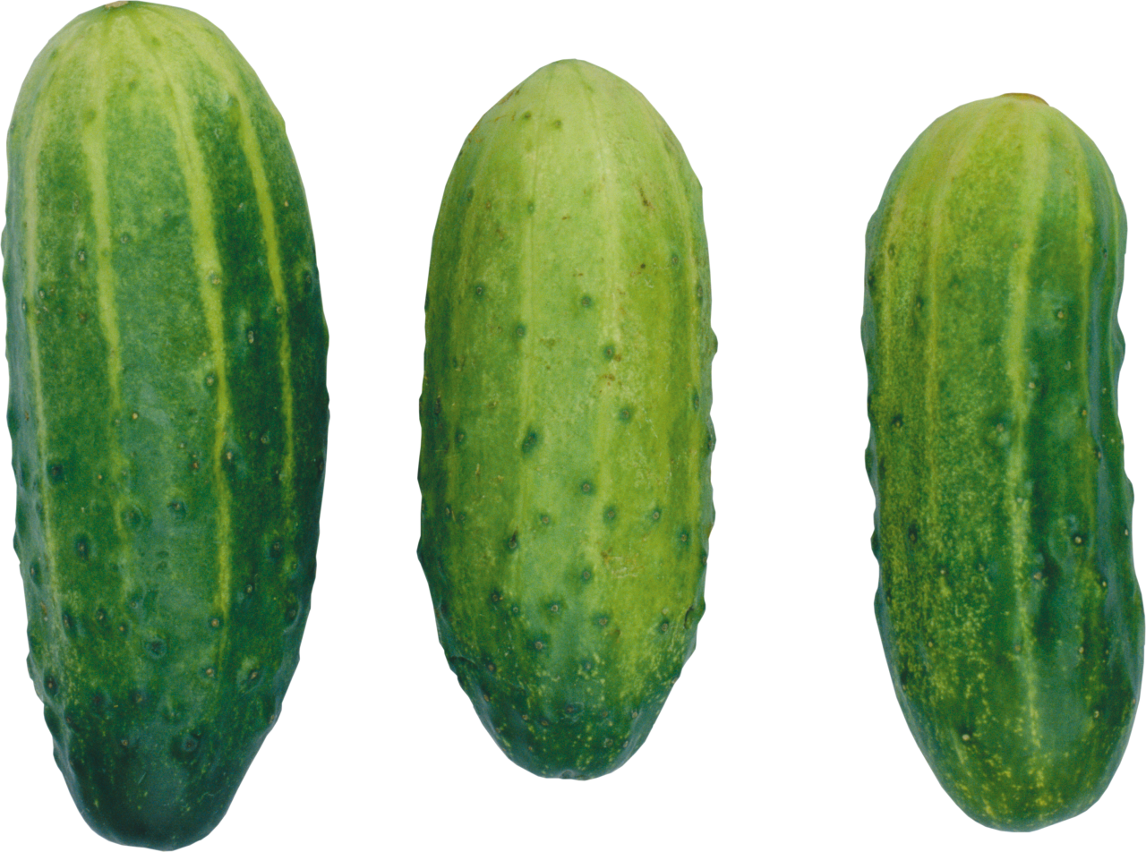 Cucumber PNG Image - PurePNG | Free transparent CC0 PNG Image Library