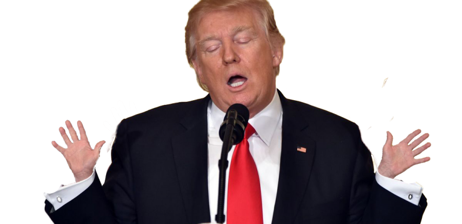 Donald Trump PNG Image - PurePNG | Free transparent CC0 PNG Image Library