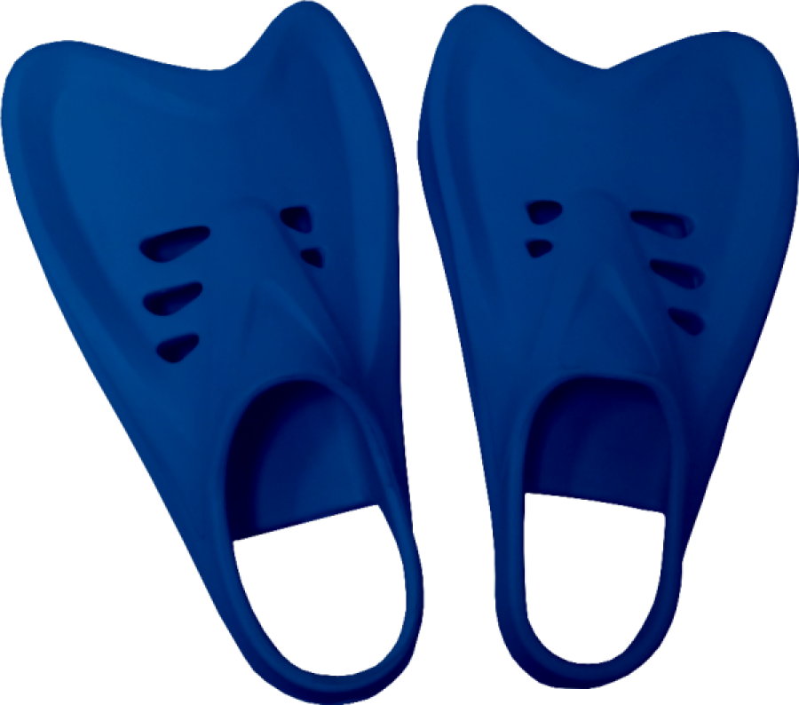 Flippers PNG Image - PurePNG | Free transparent CC0 PNG Image Library