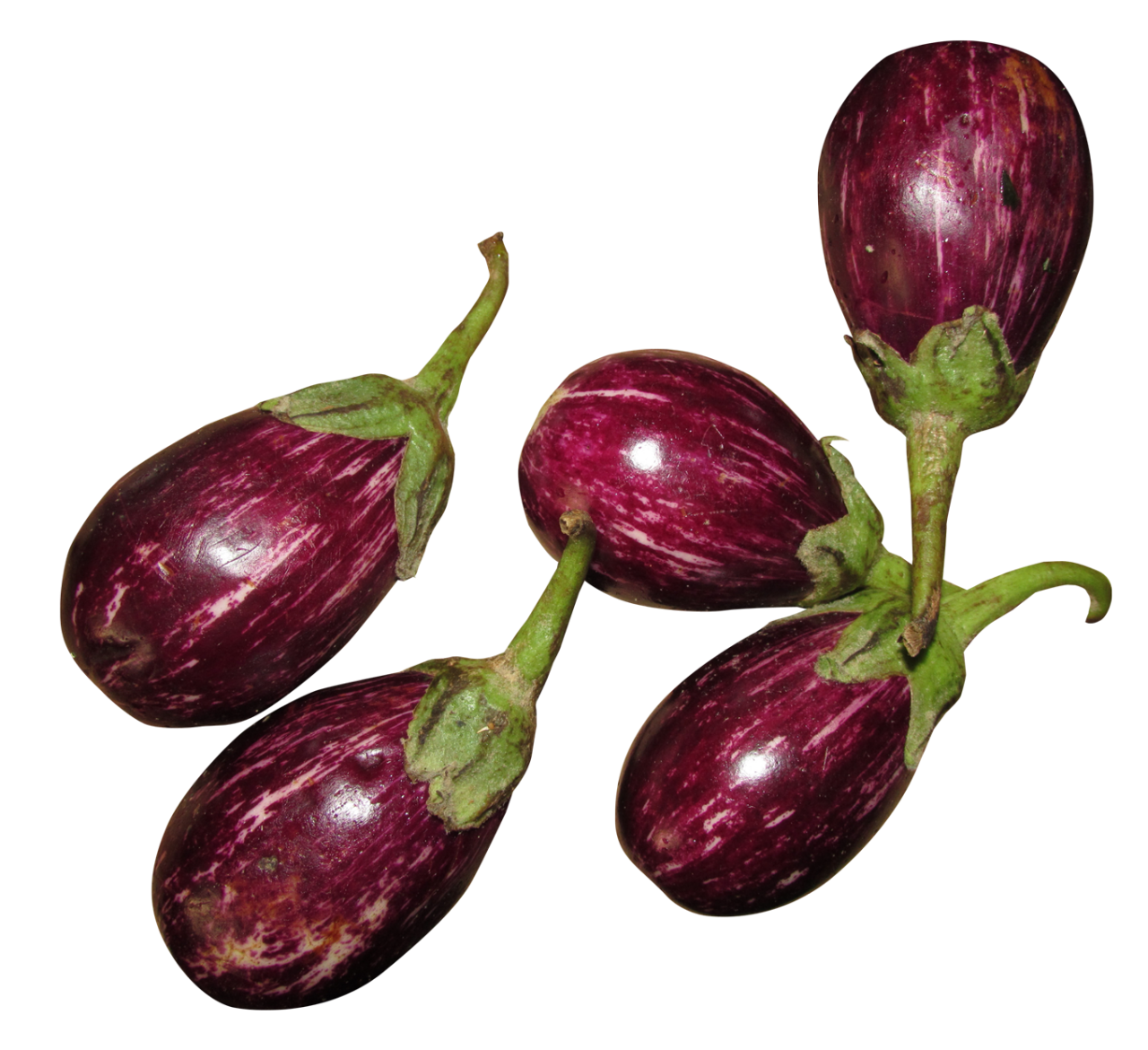 Fresh Brinjal PNG Image - PurePNG | Free transparent CC0 PNG Image Library