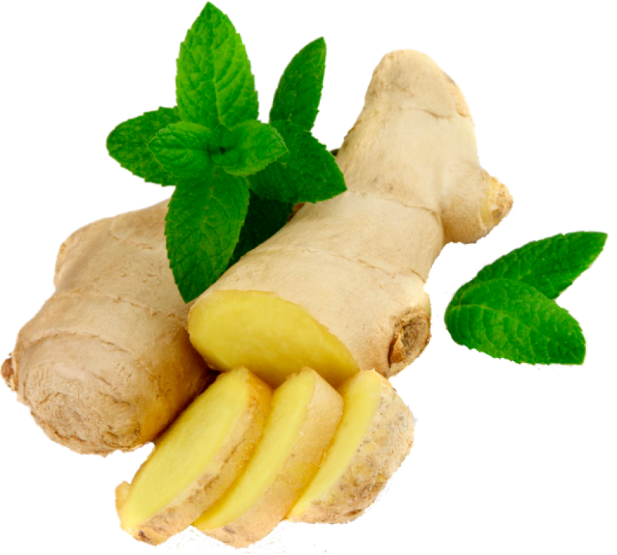 Ginger PNG Image - PurePNG | Free transparent CC0 PNG Image Library