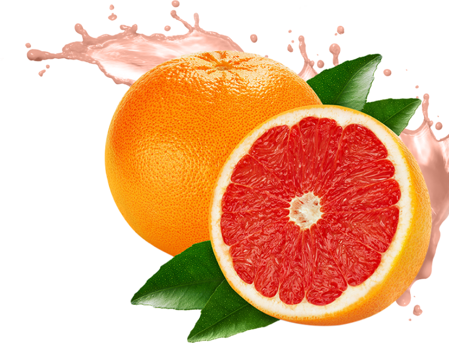 Grapefruit PNG Image - PurePNG | Free transparent CC0 PNG Image Library