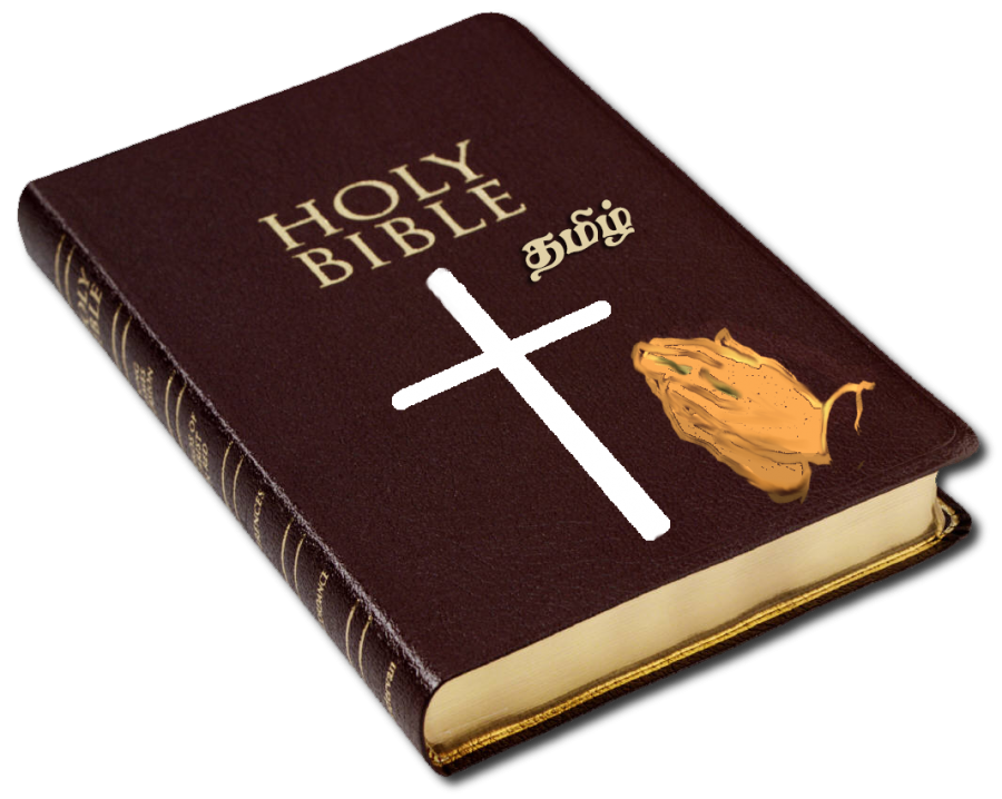 Holy Bible PNG Image - PurePNG | Free transparent CC0 PNG Image Library