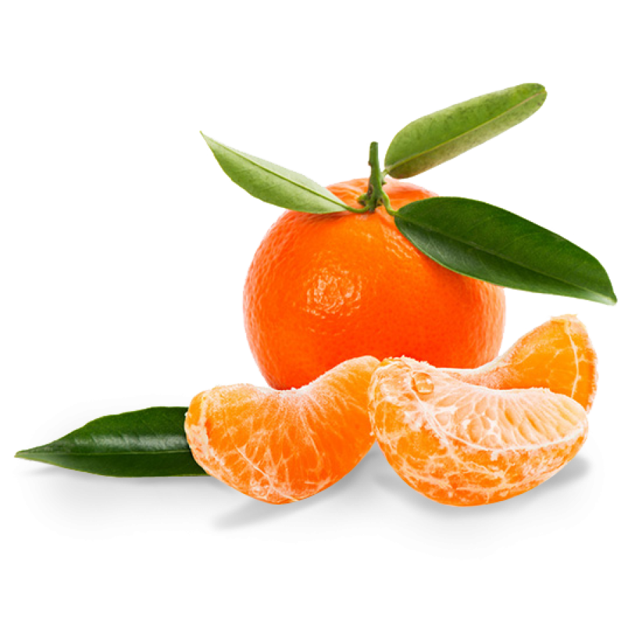 Mandarin PNG Image - PurePNG | Free transparent CC0 PNG Image Library