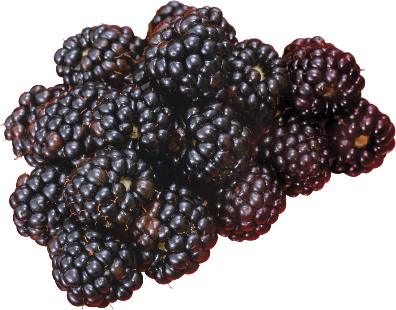 Many Blackberry PNG Image - PurePNG | Free transparent CC0 PNG Image ...
