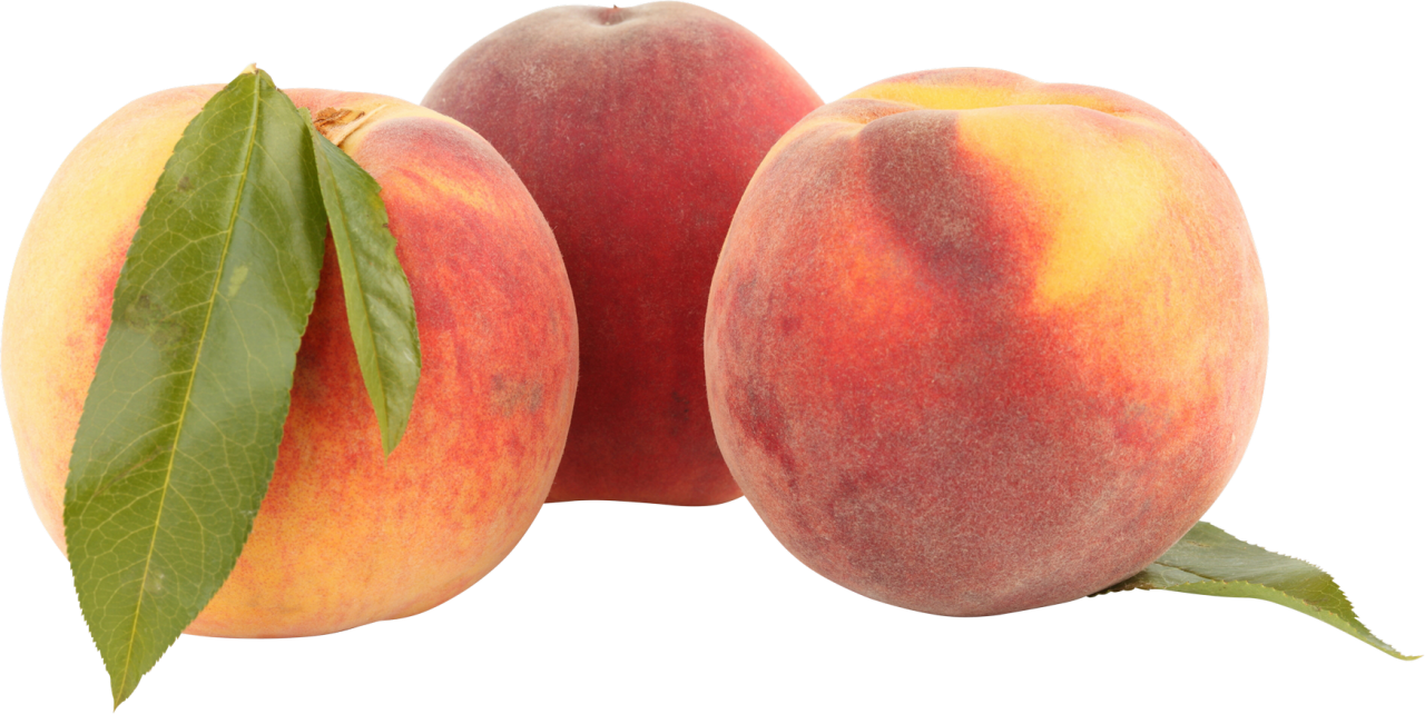 Peach PNG Image - PurePNG | Free transparent CC0 PNG Image Library