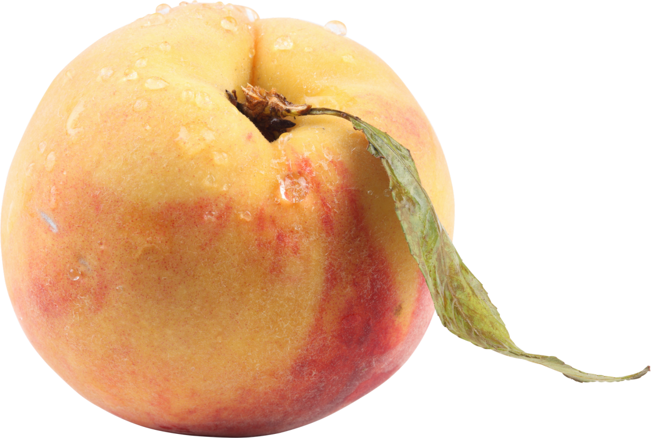Peach PNG Image - PurePNG | Free transparent CC0 PNG Image Library