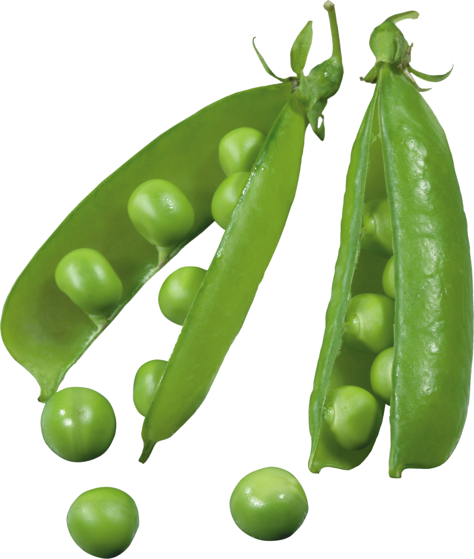Pea PNG Image - PurePNG | Free transparent CC0 PNG Image Library