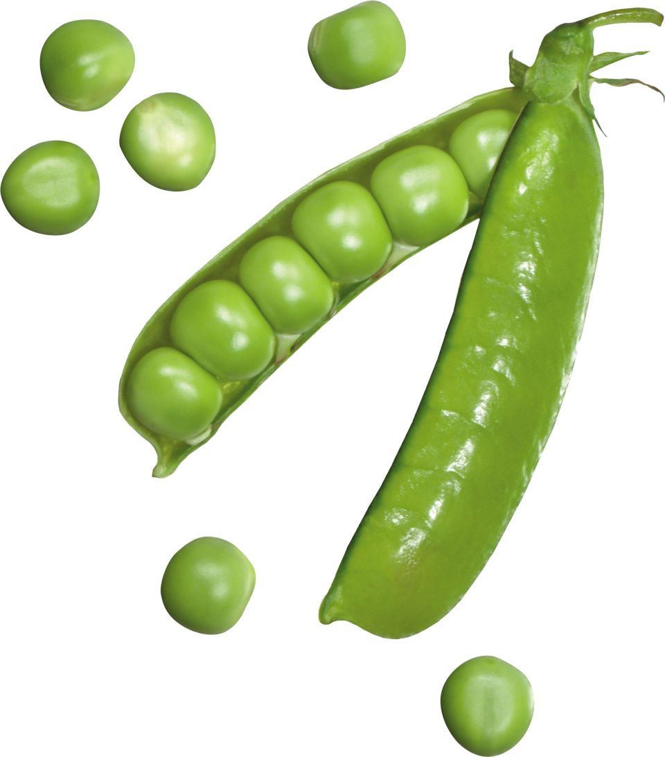 Pea PNG Image - PurePNG | Free transparent CC0 PNG Image Library