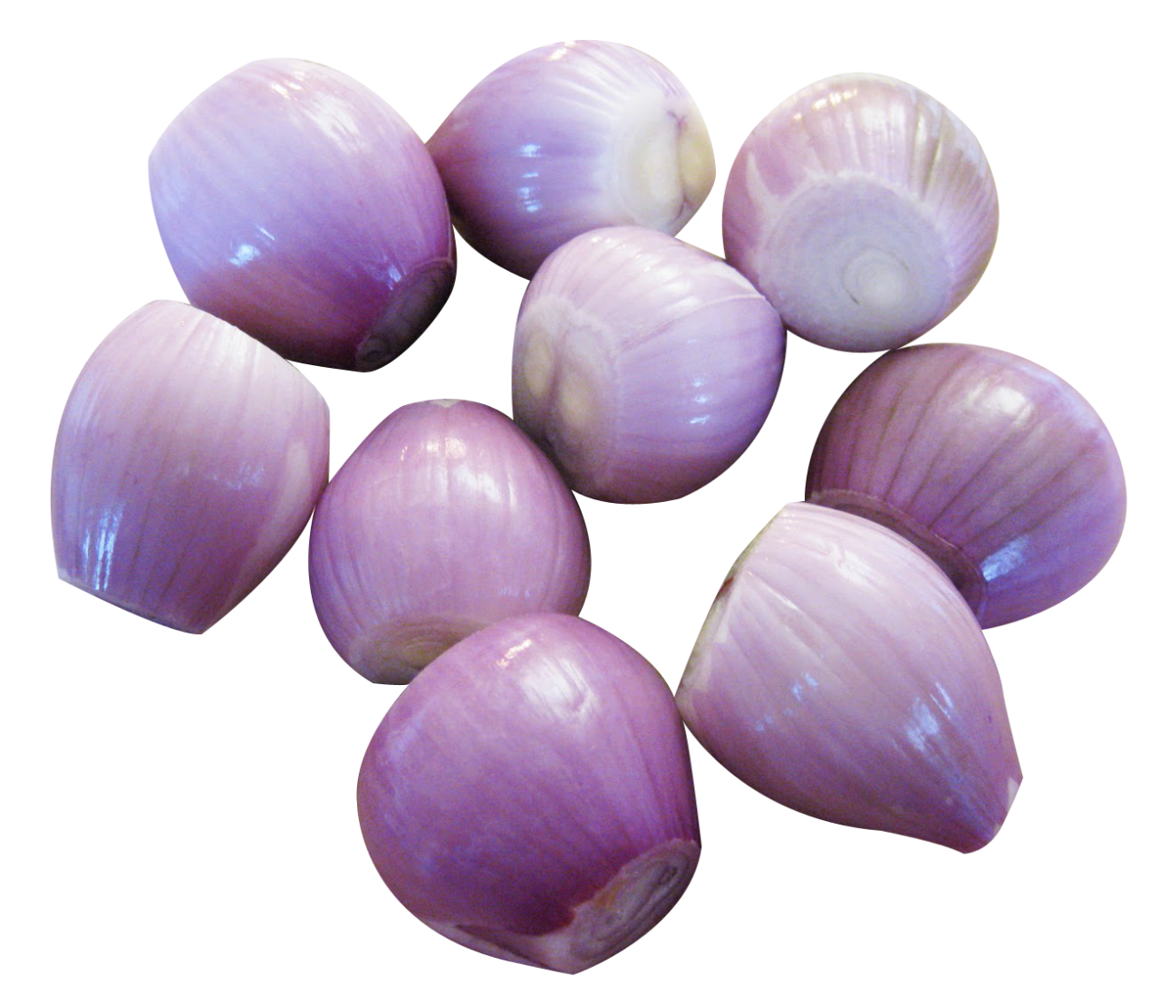 Peeled Shallots PNG Image - PurePNG | Free transparent CC0 PNG Image ...