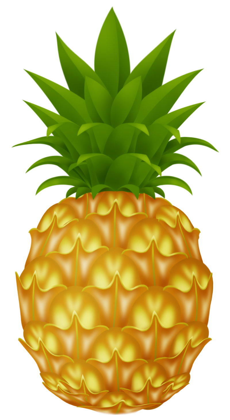 Pineapple PNG Image - PurePNG | Free transparent CC0 PNG Image Library