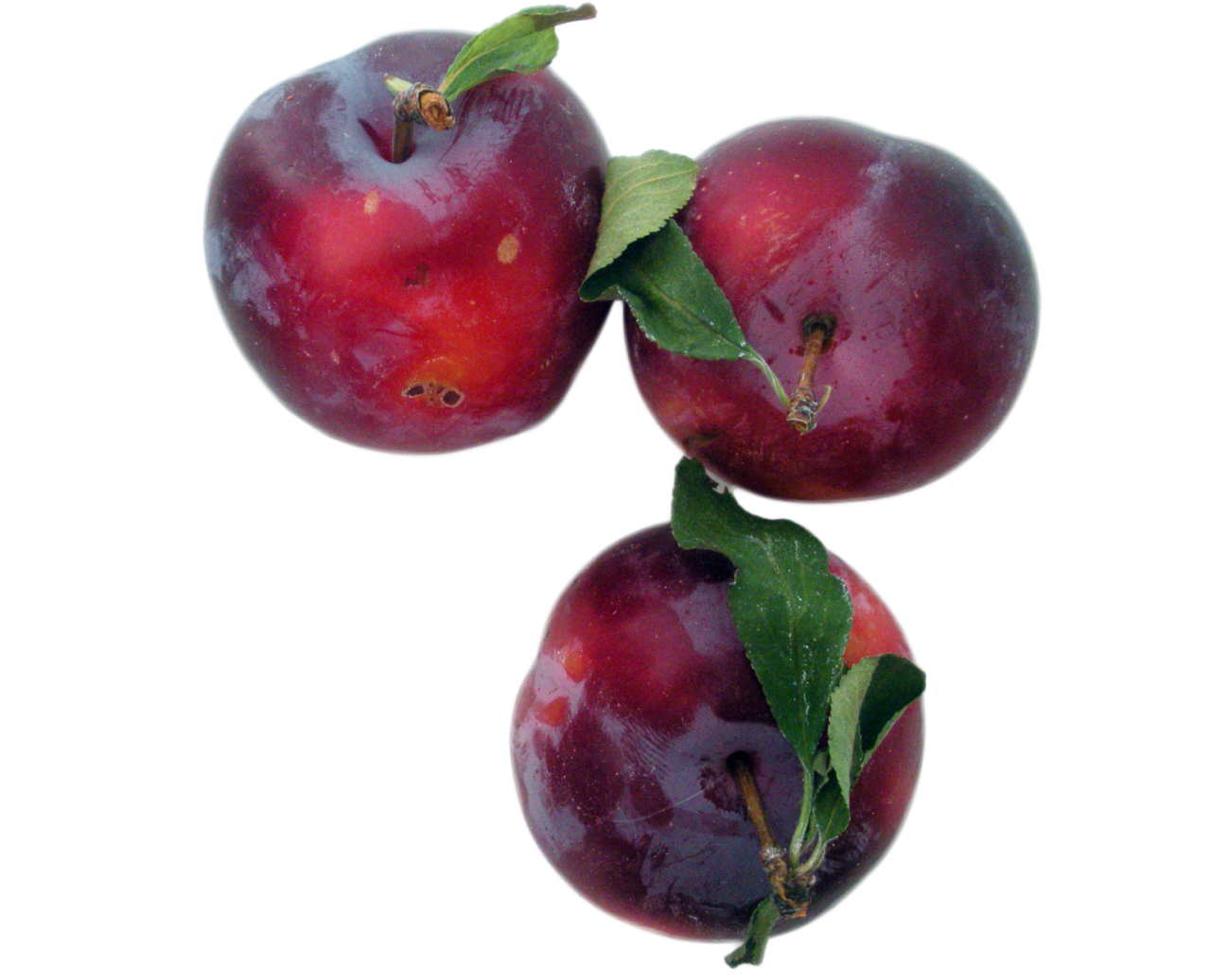 Plums PNG Image - PurePNG | Free transparent CC0 PNG Image Library