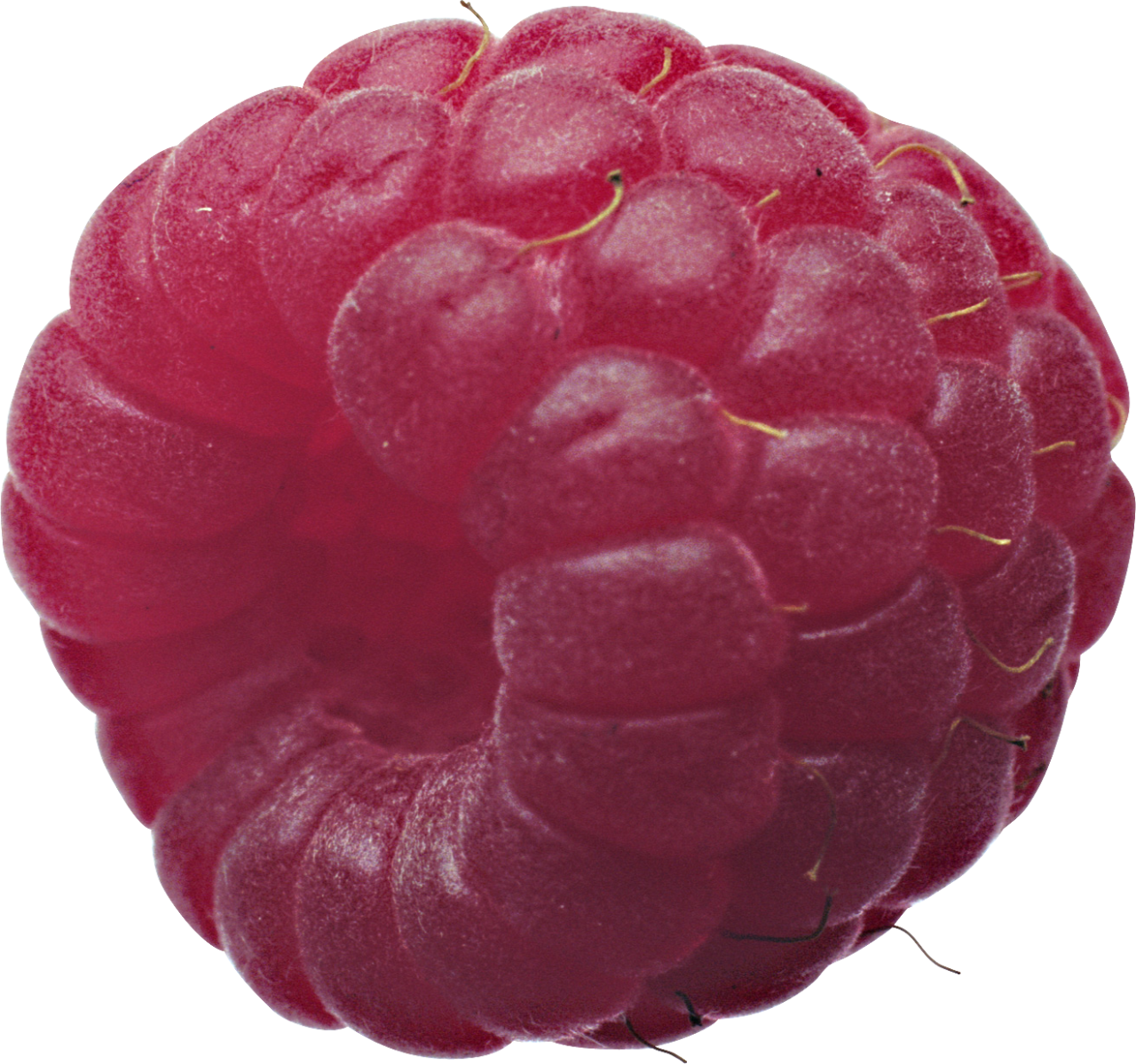 Raspberry PNG Image - PurePNG | Free transparent CC0 PNG Image Library