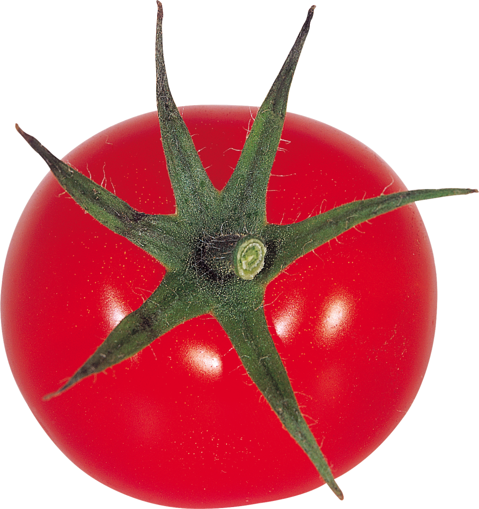 Red Tomatoes PNG Image - PurePNG | Free transparent CC0 PNG Image Library