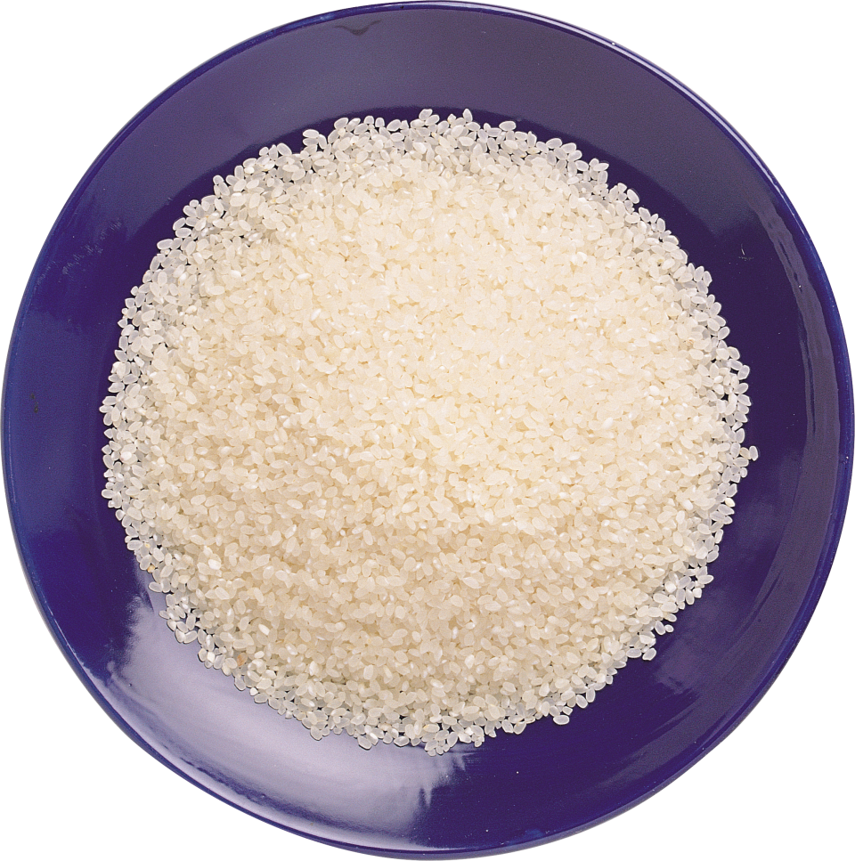 Rice PNG Image - PurePNG | Free transparent CC0 PNG Image Library
