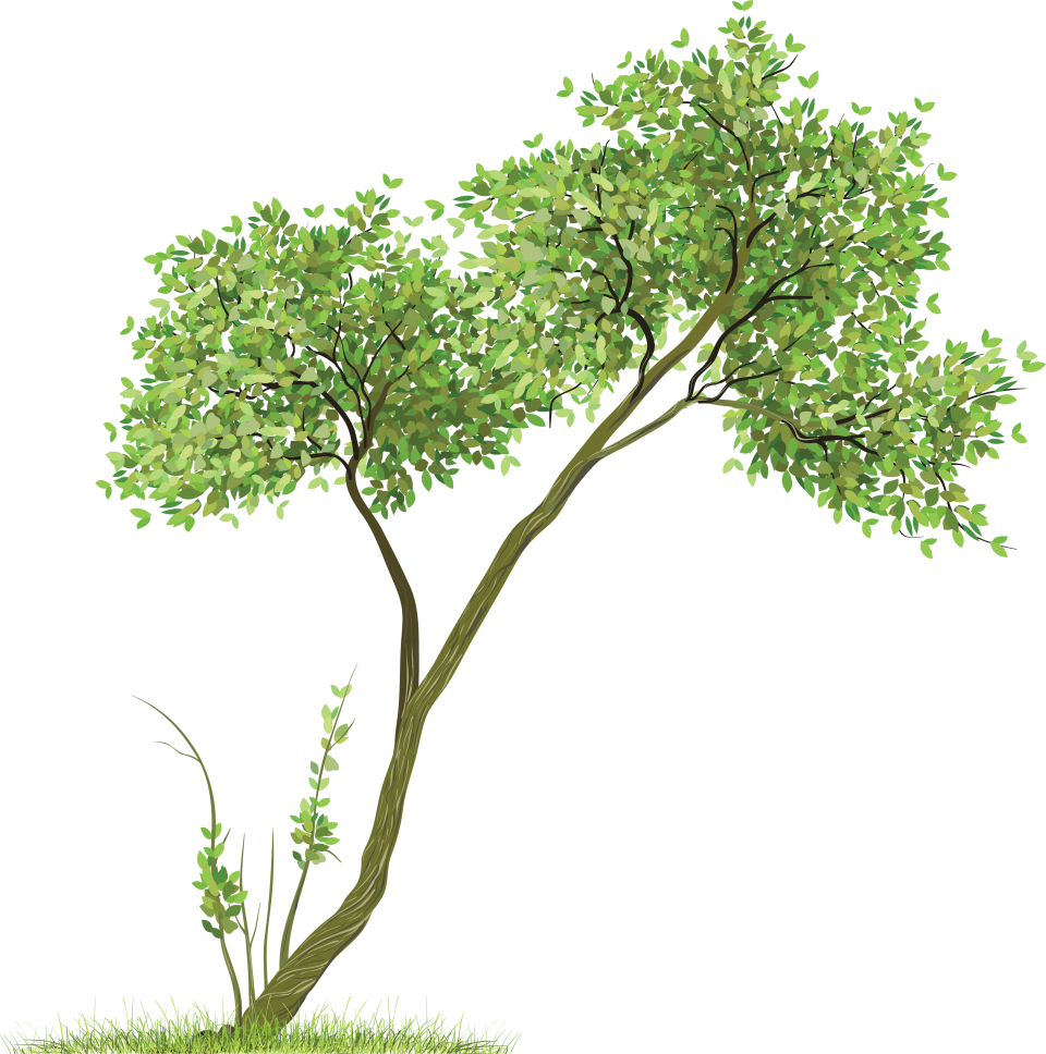 Leafy Tree with Grass PNG Image - PurePNG | Free transparent CC0 PNG Image Library