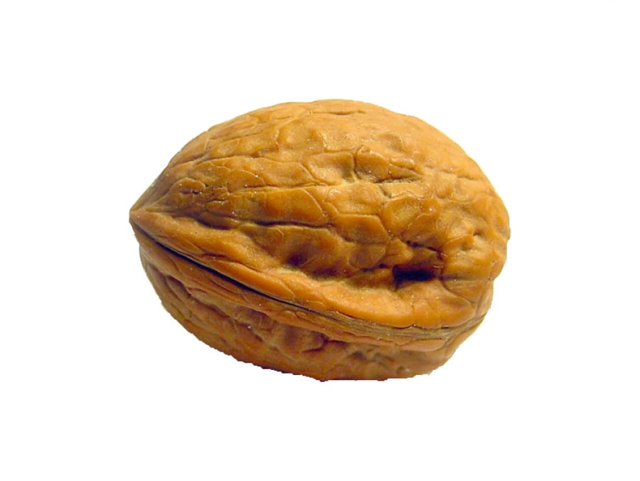 Walnut PNG Image - PurePNG | Free transparent CC0 PNG Image Library