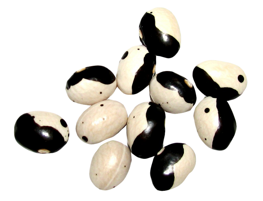 Yin Yang Beans PNG Image - PurePNG | Free transparent CC0 PNG Image Library