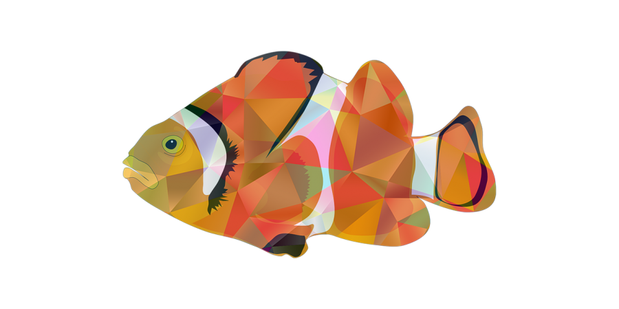 Red Fish Concept PNG Image - PurePNG | Free transparent CC0 PNG Image ...