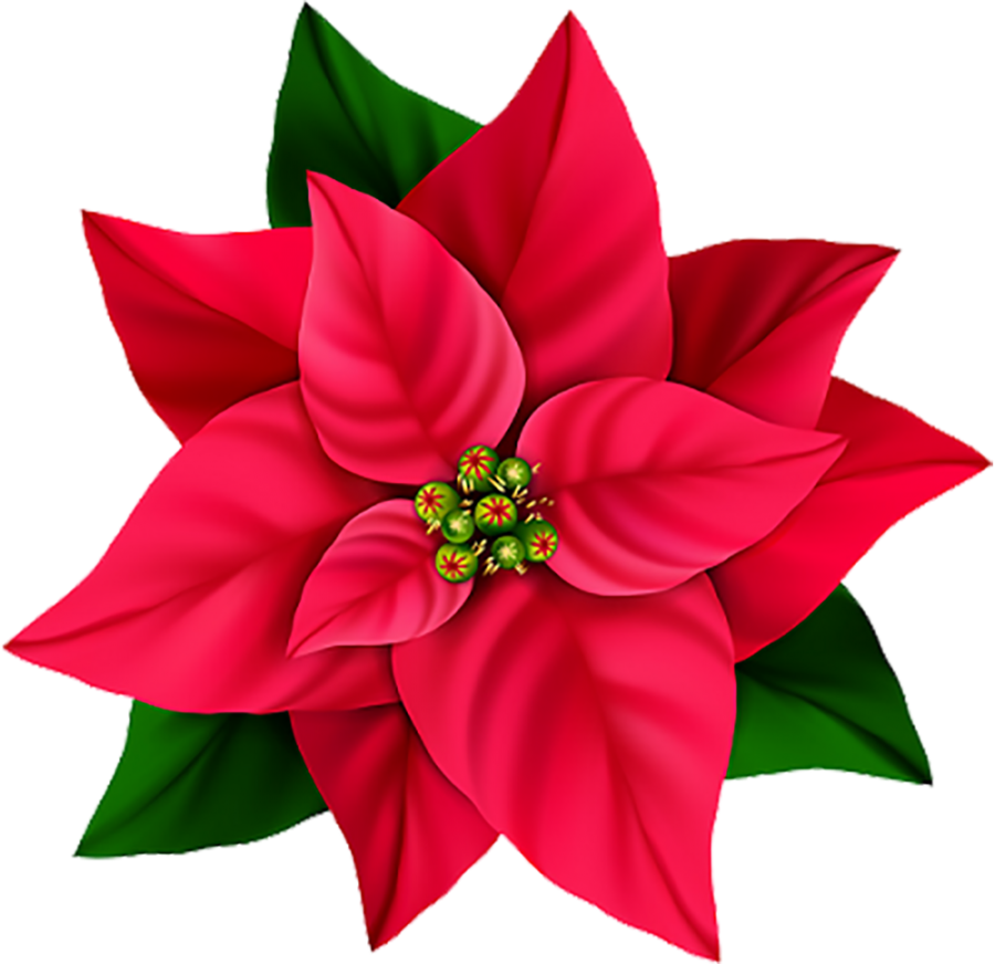 Red Flower PNG Image - PurePNG | Free transparent CC0 PNG Image Library