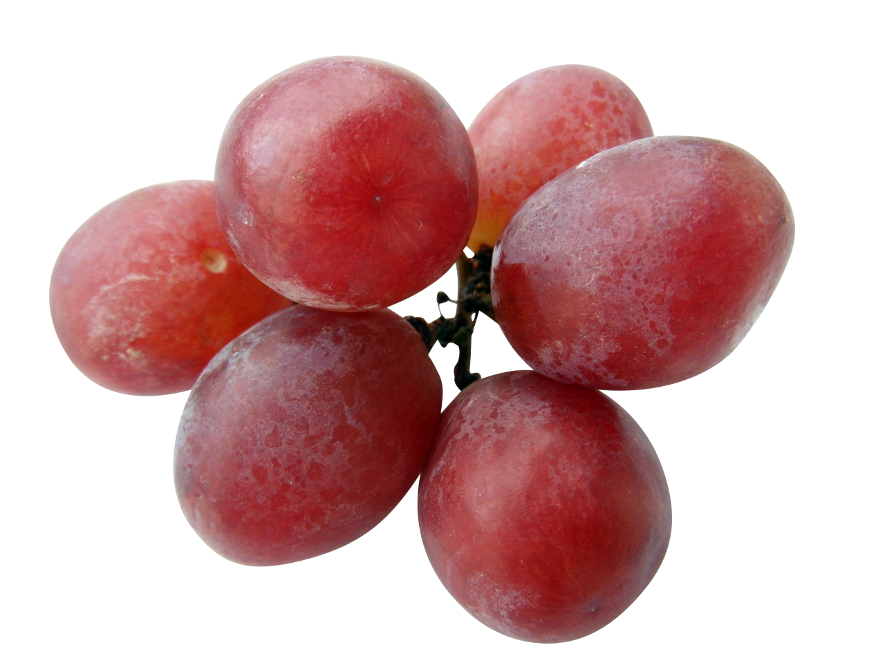 Red Grapes PNG Image - PurePNG | Free transparent CC0 PNG Image Library